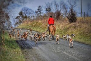 Keswick Hunt Club in Central Virginia