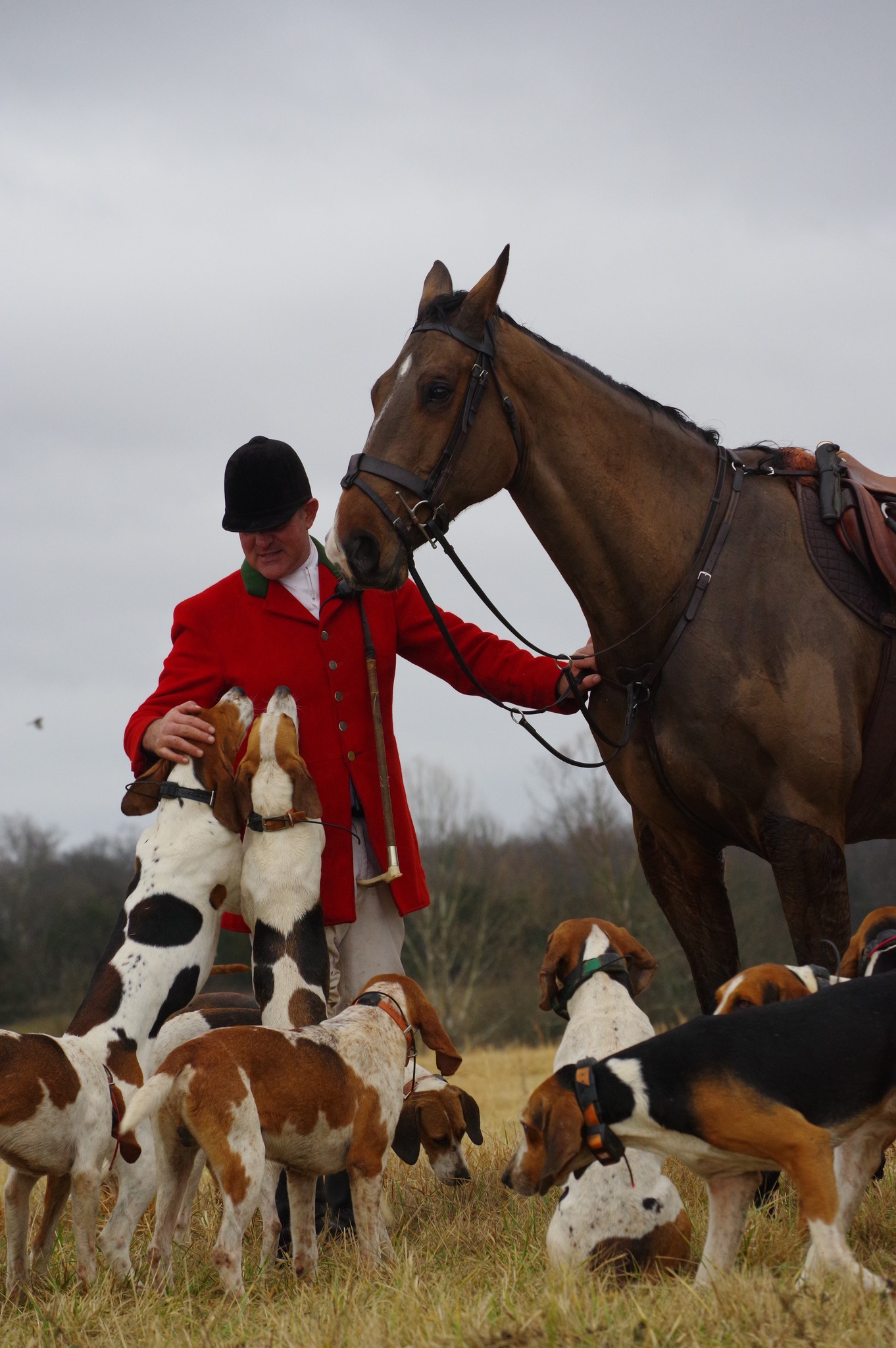 About Keswick Hunt Club in Central Virginia | Est. 1896